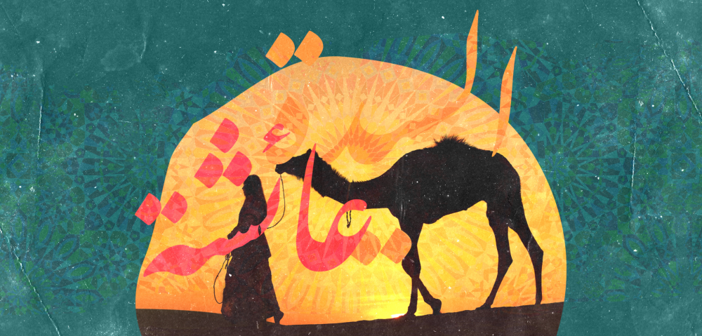 Aisha… Islam’s most controversial woman - رصيف 22